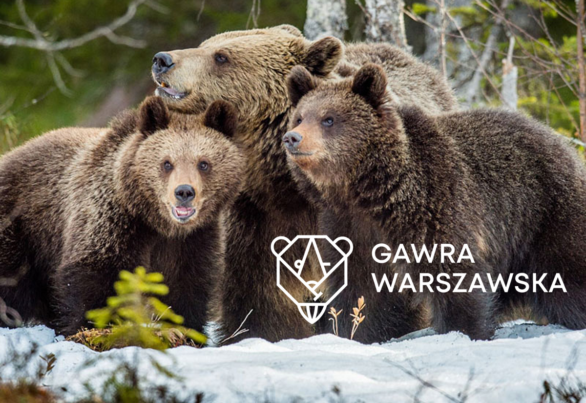 Gawra Warszawska w Defabryce